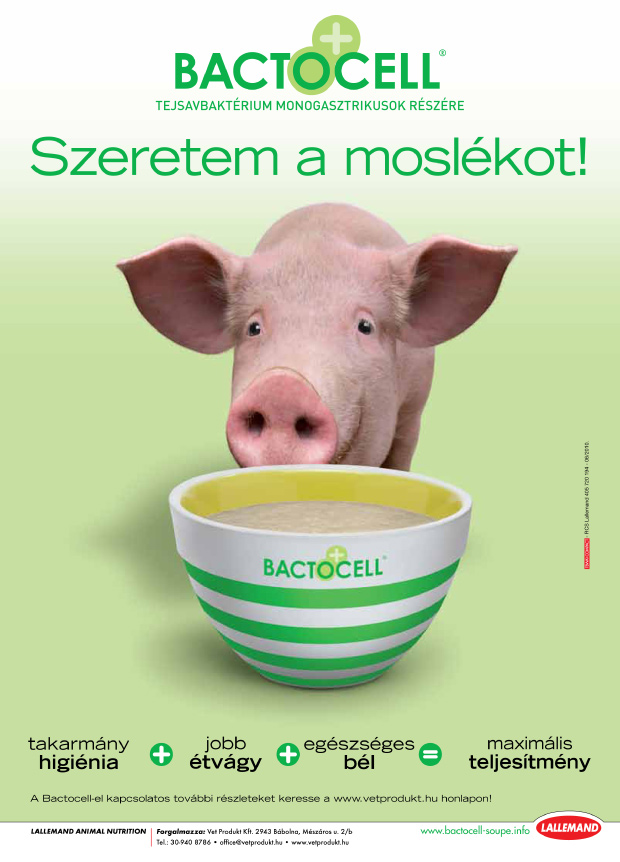 BACTOCELL | VetProdukt